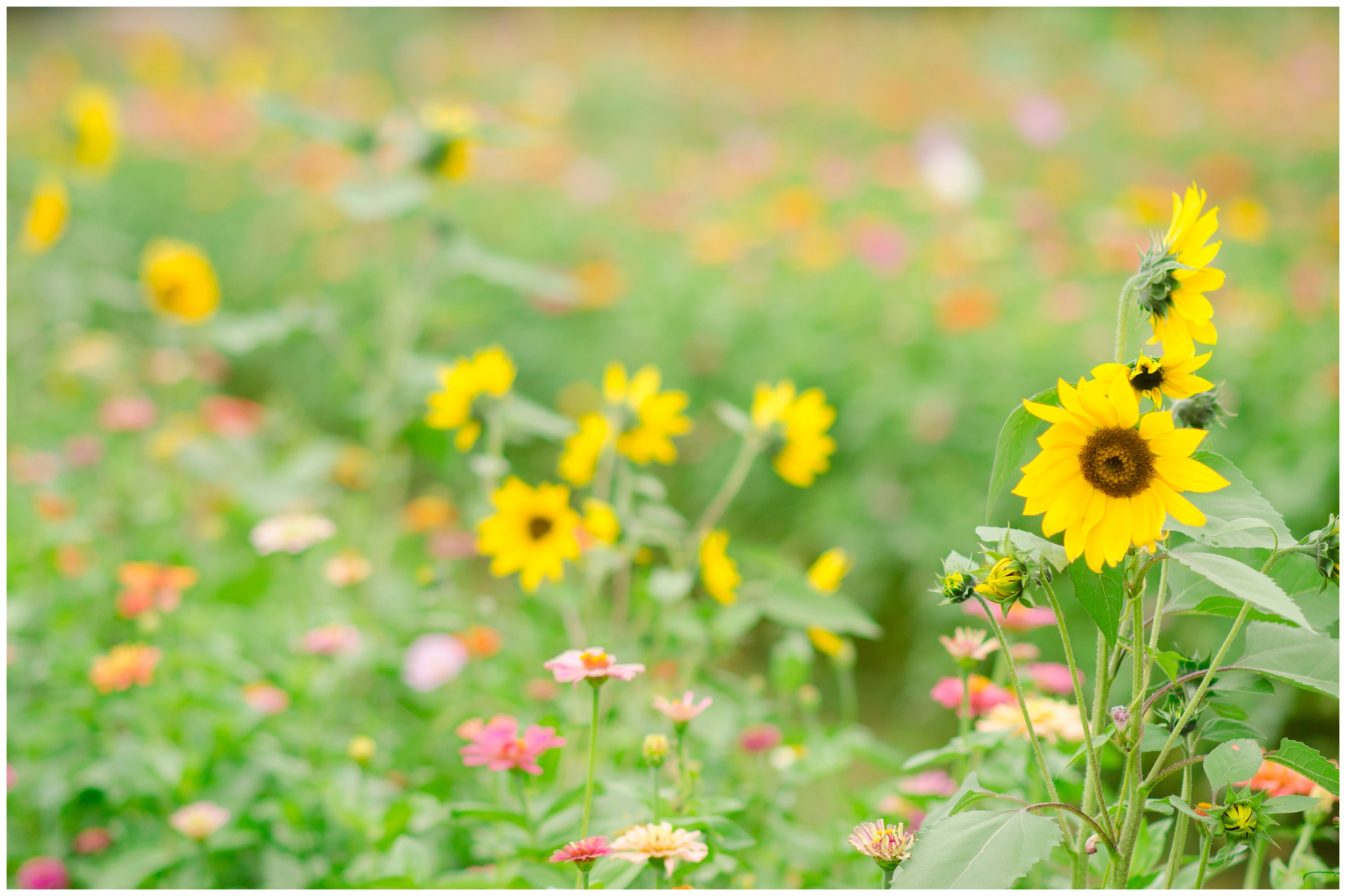 Alexandra Michelle Photography- Belvedere Plantation- Fall 15 – Brannock-101 – Alexandra ...